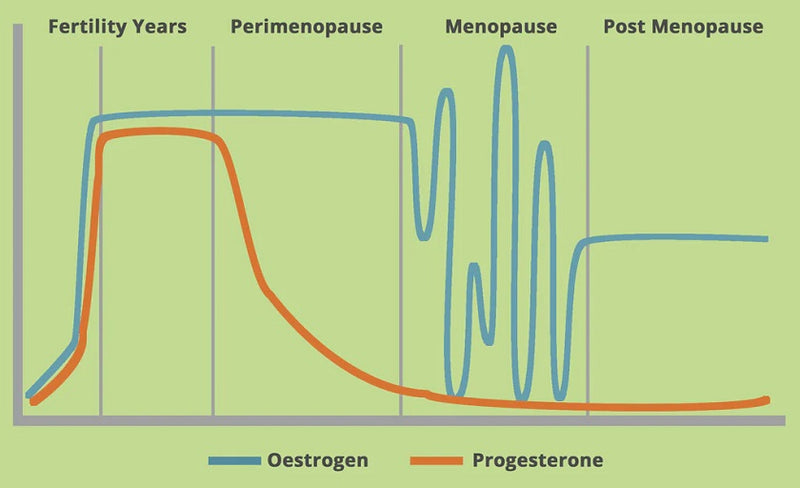 Prolonged Periods: Causes and Natural Management Solutions