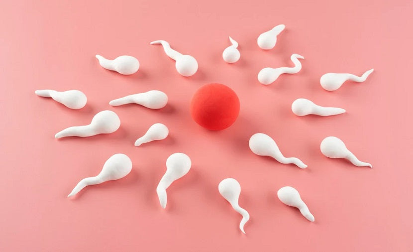 Charting to Conceive | Happy Healthy You