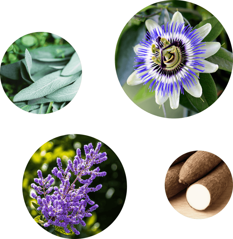 HRT & Natural Menopause Support: What Works, What Doesn’t & What You S